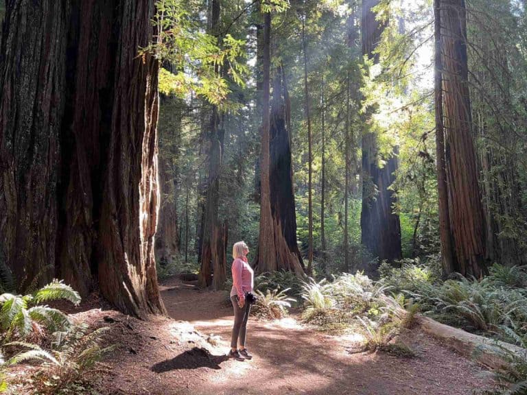 America's Treasures: National Parks That Are World Heritage Sites