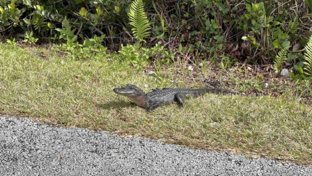 Marvelous East Coast National Parks You Should Visit