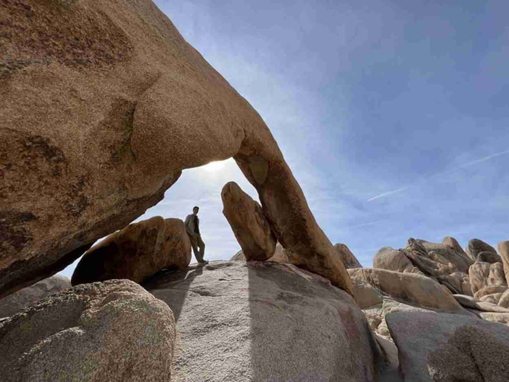 Joshua Tree National Park Guide: Plan Your Trip