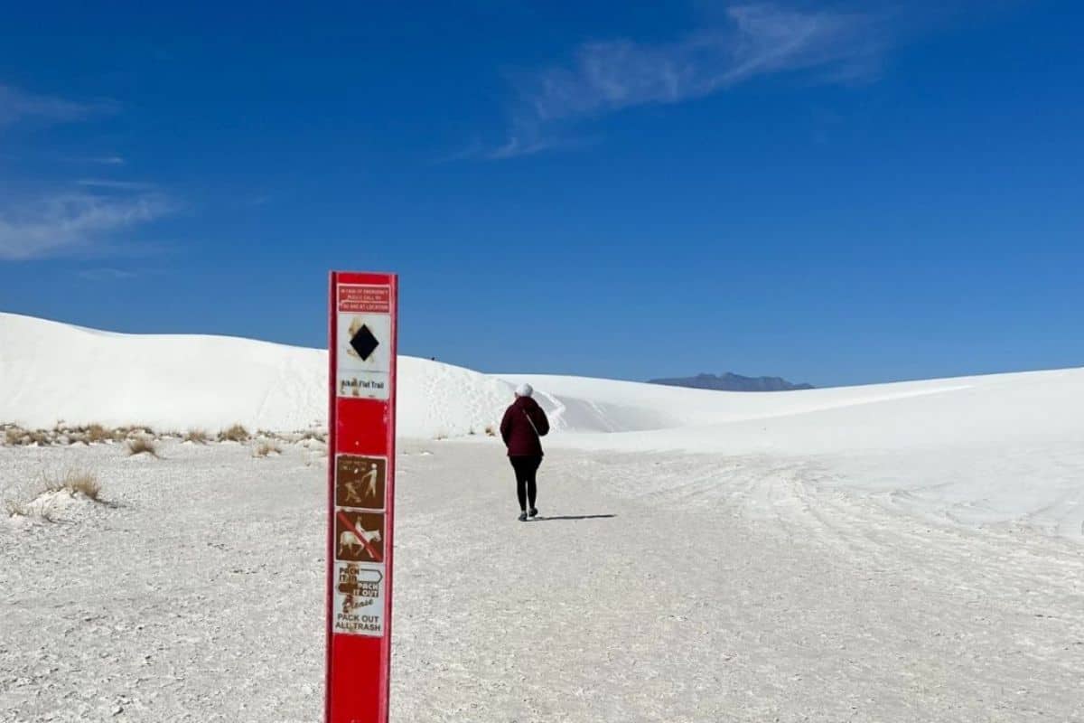 Top Things To Do in White Sands National Park