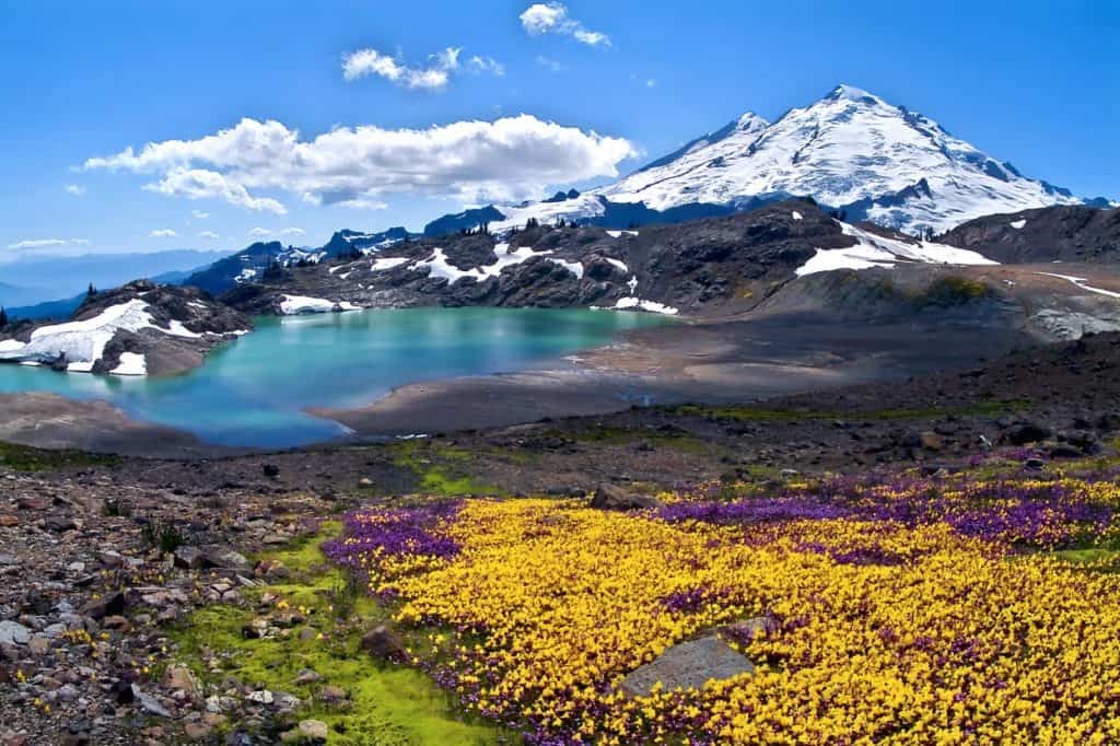 Epic Guide for the Best Things To Do in Bellingham - Miles with McConkey