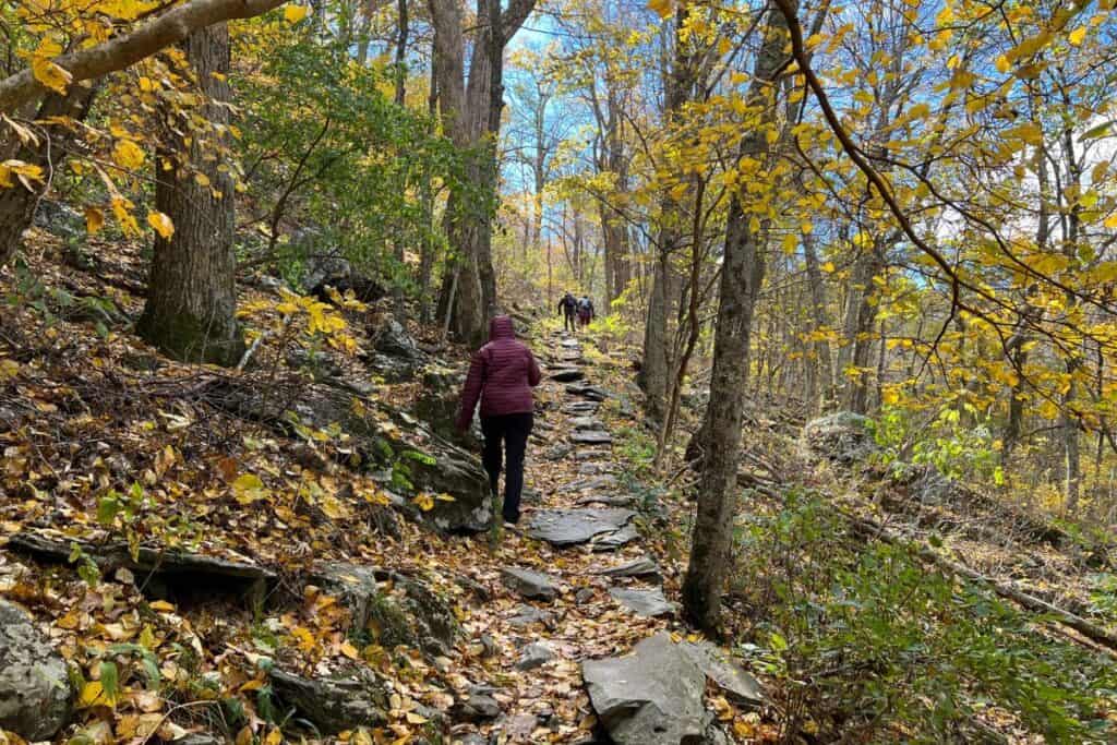 Best Time to Visit Shenandoah National Park: Weather & Crowds