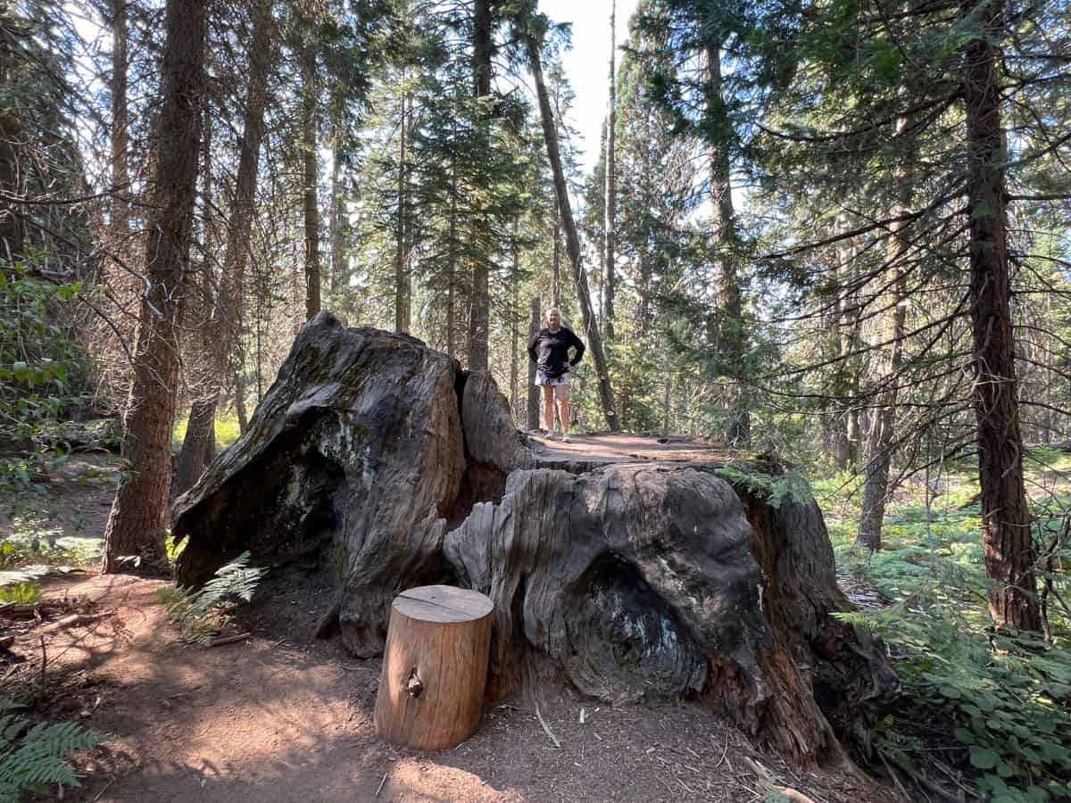 One Day, Endless Wonders: Kings Canyon National Park Itinerary