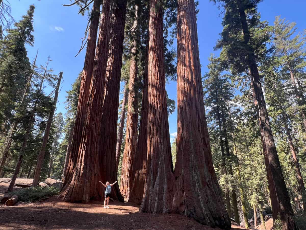 Celebrating the Dark Sky in Sequoia and Kings Canyon