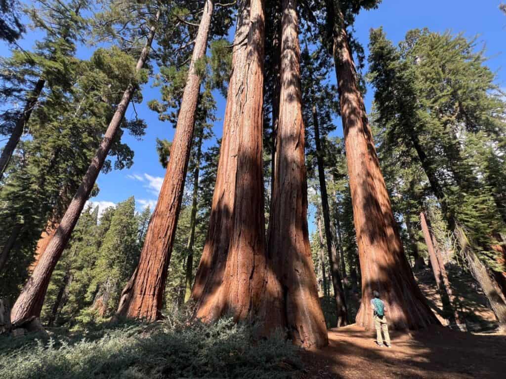 Why Visit Kings Canyon National Park? 6 Great Reasons to Go