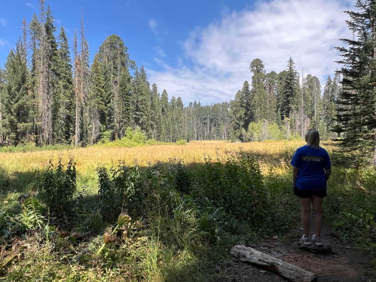 14 Things You Can't Miss in Sequoia National Park