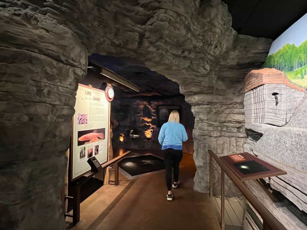 Must-Know Tips for Exploring Mammoth Cave National Park