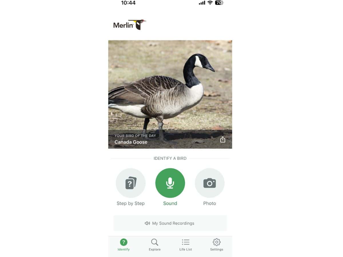 Binoculars Are Great But This Tool Takes Birding to New Heights
