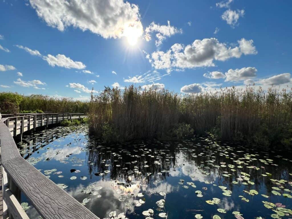 Everglades National Park Entrances: Which Is Best for Your Trip?