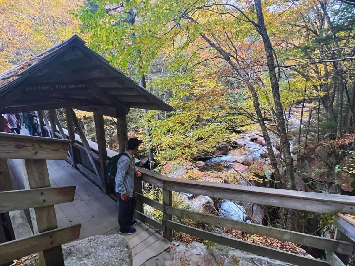 Flume Gorge Trail: Scenic Hike in Franconia Notch State Park