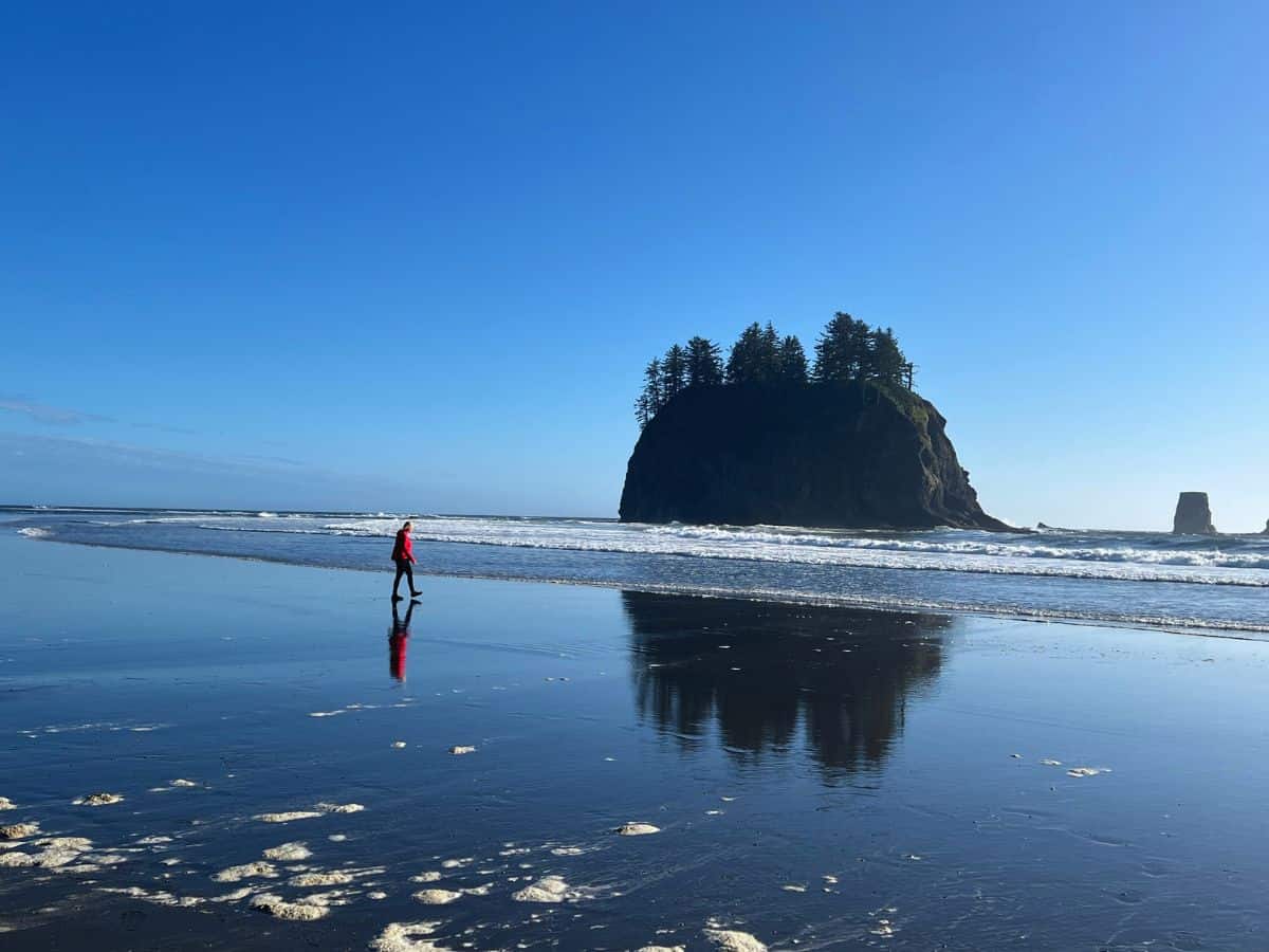 Things to Do in Olympic National Park: Beaches, Forests & Views